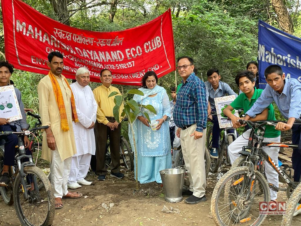 Celebrated Green Consumer Day by cycle rally and plantation: Spread the ...