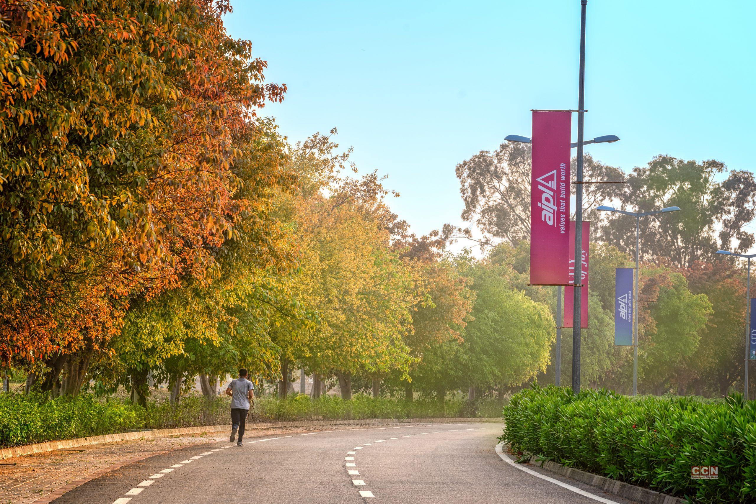 Robust Real Estate growth in Punjab - Chandigarh City News
