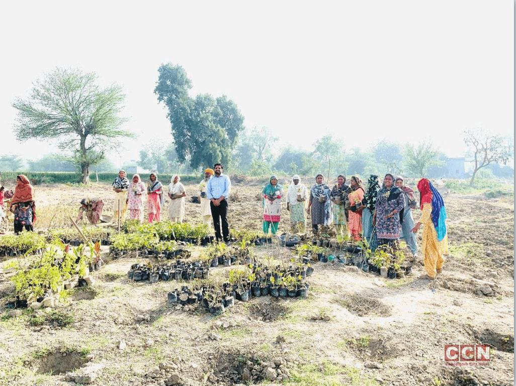 Roundglass Foundation to Plant 500 Trees for every Goal Scored by Pb FC ...