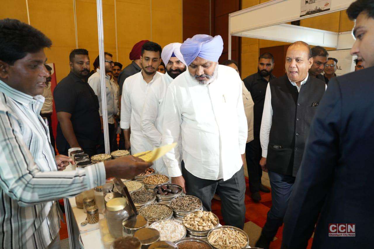 Punjab witnessing historic industrial revolution driven by progressive ...