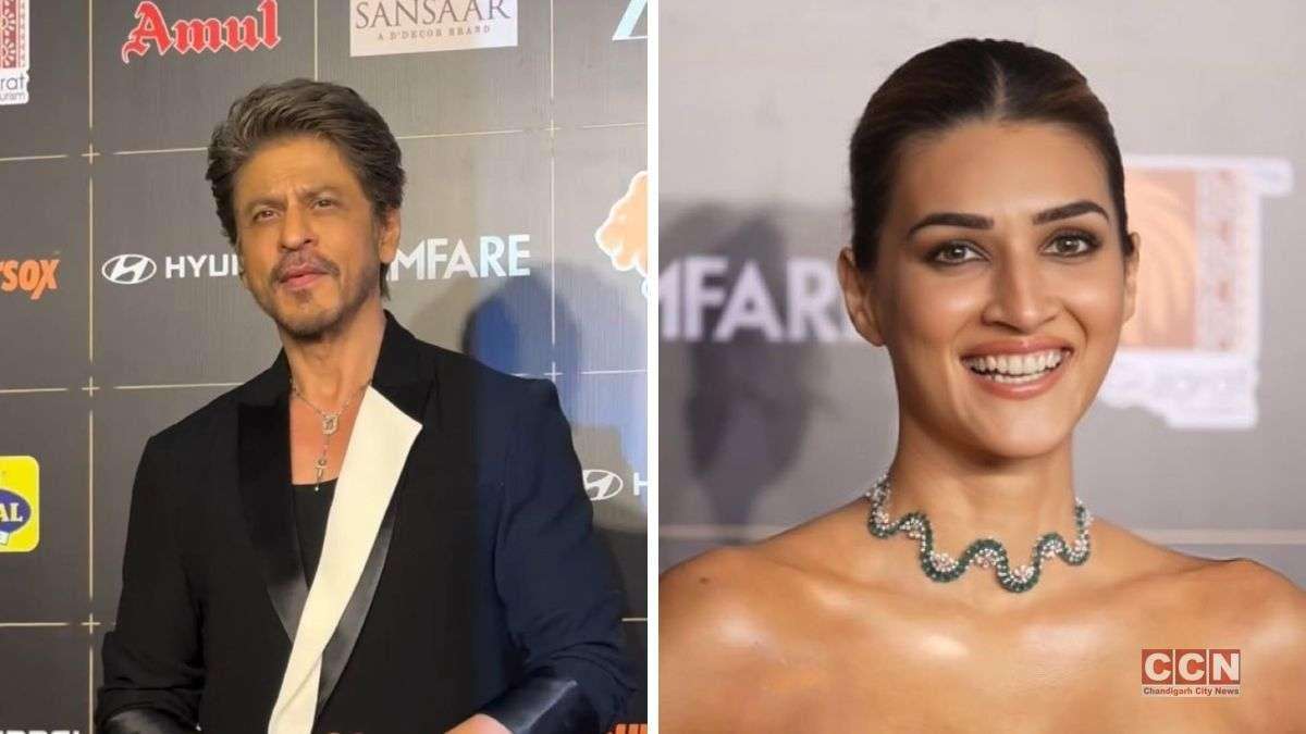 Filmfare Awards 2025 Red Carpet: Who Slayed and Who Trended ...